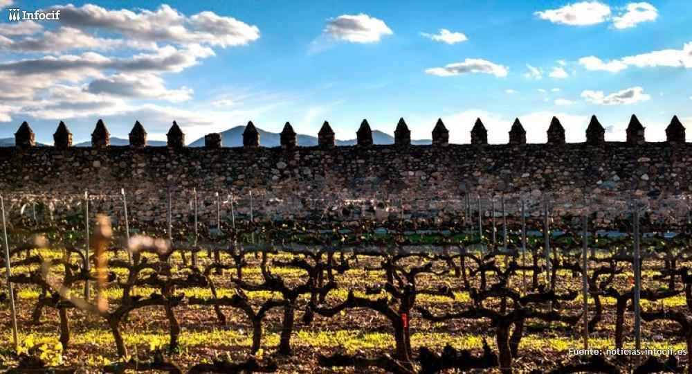 Bodegas Torres logra el primer puesto como marca vinícola más admirada ...