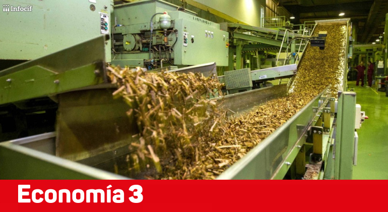 Acocex defiende a España como enlace de África y América | Economía 3