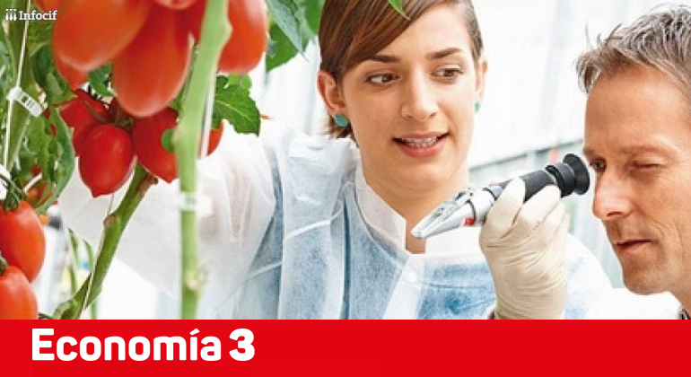 Cinco habilidades que caracterizan a un innovador | Economía 3