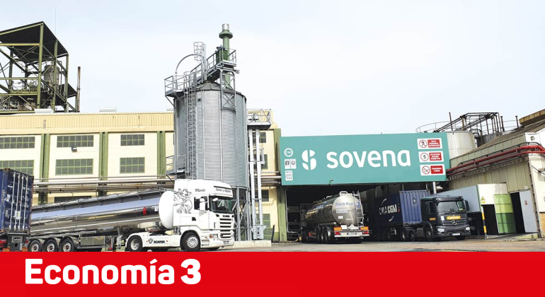 J. de Melo, Sovena: "Se avecina una campaña muy difícil para el aceite de oliva"