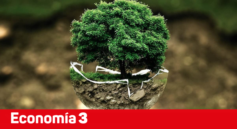 Las doce empresas del mundo líderes en medioambiente, una está fundada ...