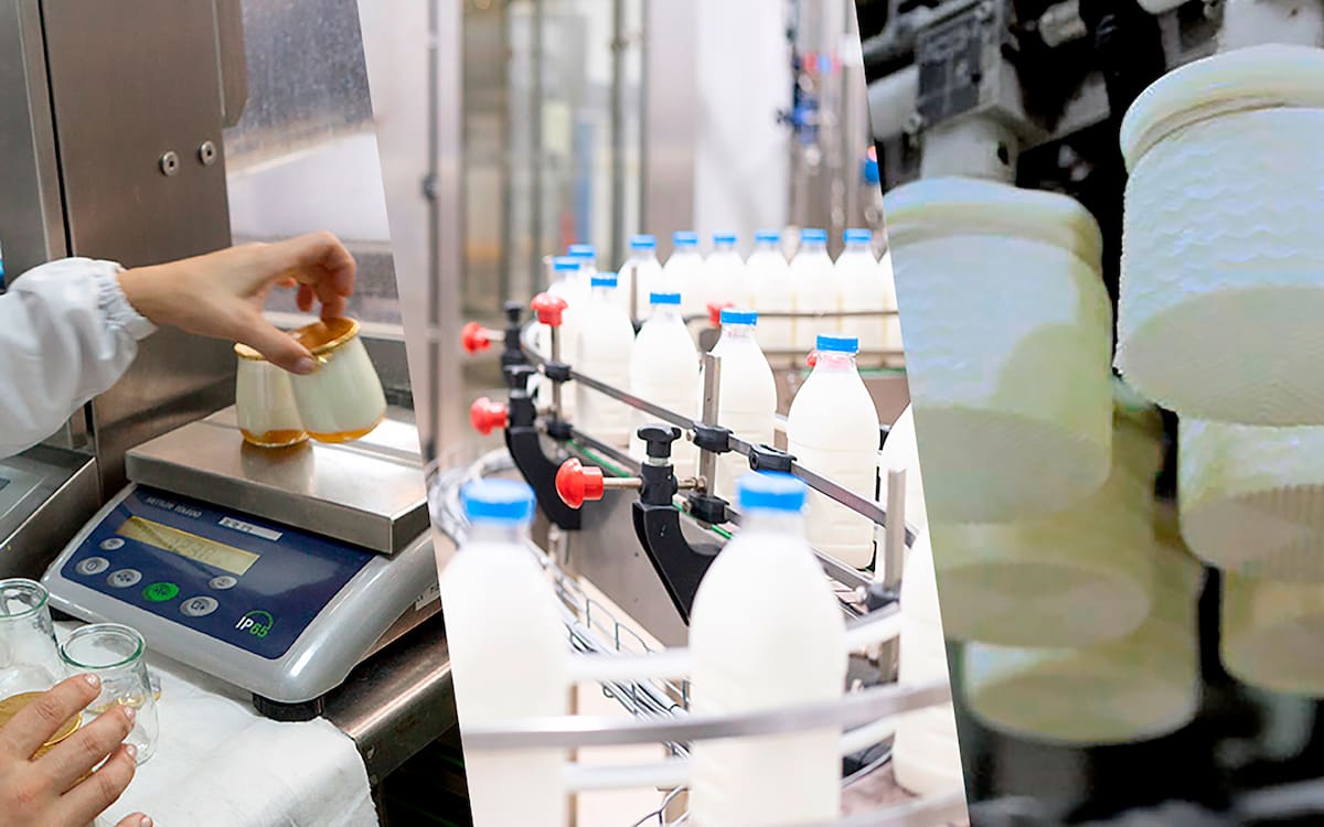 Grupo Lactalis, 40 años apostando por la calidad, la innovación y la ...