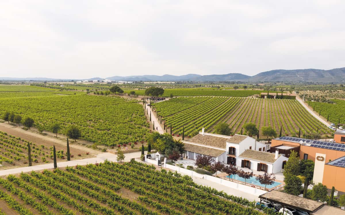 La Ruta del Vino Utiel-Requena, pionera del enoturismo