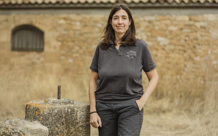 Modelo PYG (pérdidas y ganancias): ¿Qué es y cómo es su estructura?