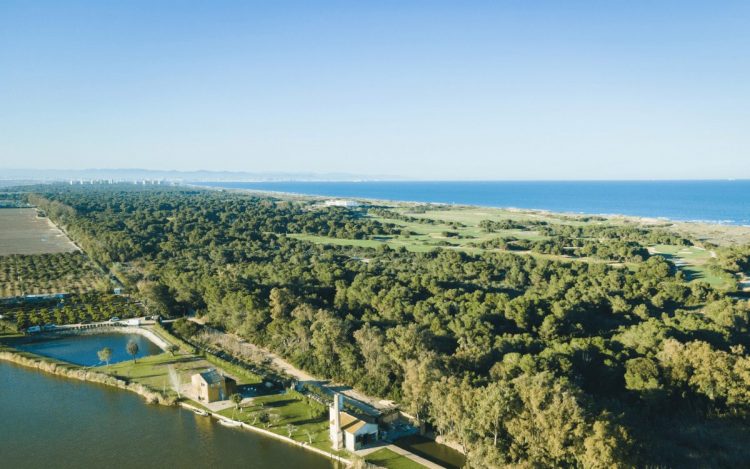 València lanza un reto GovTech para monitorizar el agua de L'Albufera
