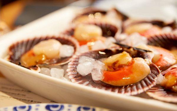 El Roig Arena, un espacio de restauración los 365 días del año