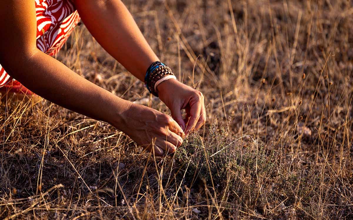 Modelo PYG (pérdidas y ganancias): ¿Qué es y cómo es su estructura?